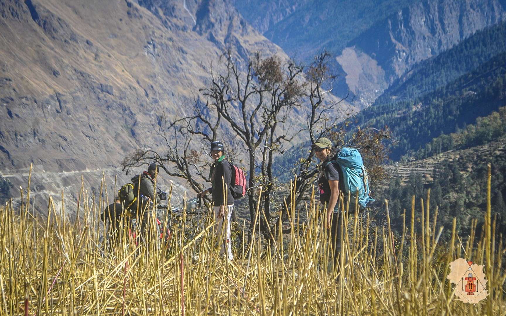 Kuari Pass Trek Cost, Route, Budget & Itinerary for 2024 | Trekmunk